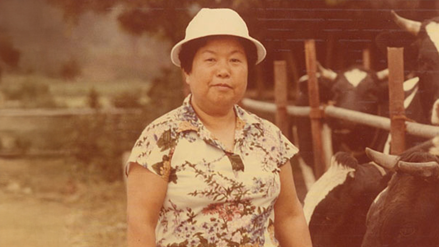 A woman who only chased the late Lee Byung-chul and Chung Ju-young ...